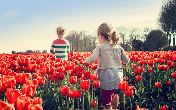 5 dicas para a primavera - Stobag