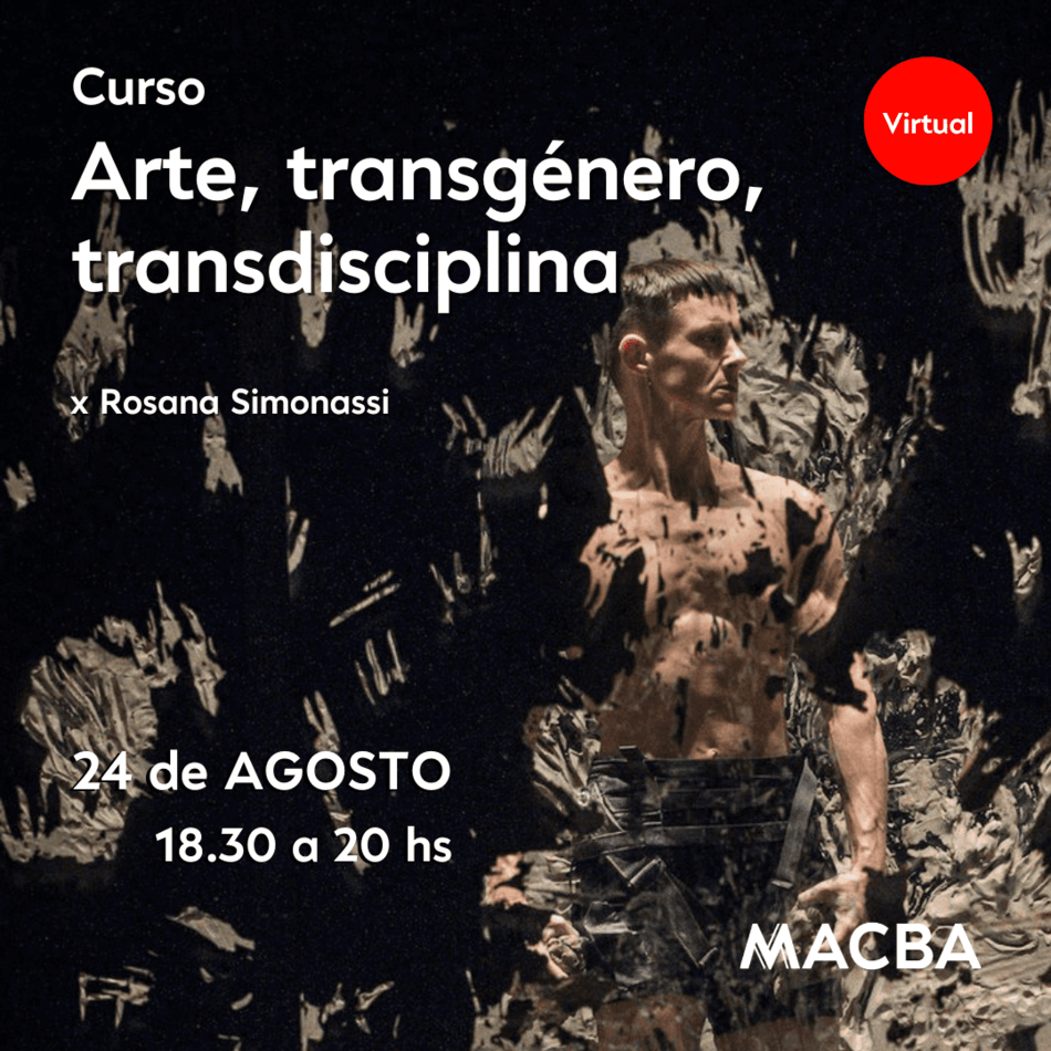 Arte, Transgénero, Transdisciplina