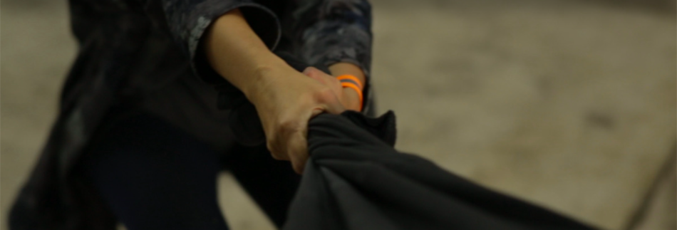 Cardo Ruso, De Claudia Ganquin